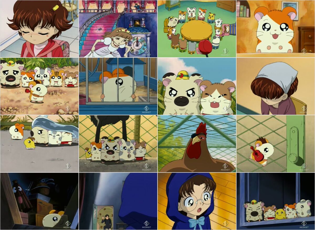 Hamtaro - 018 - A caccia della scarpetta