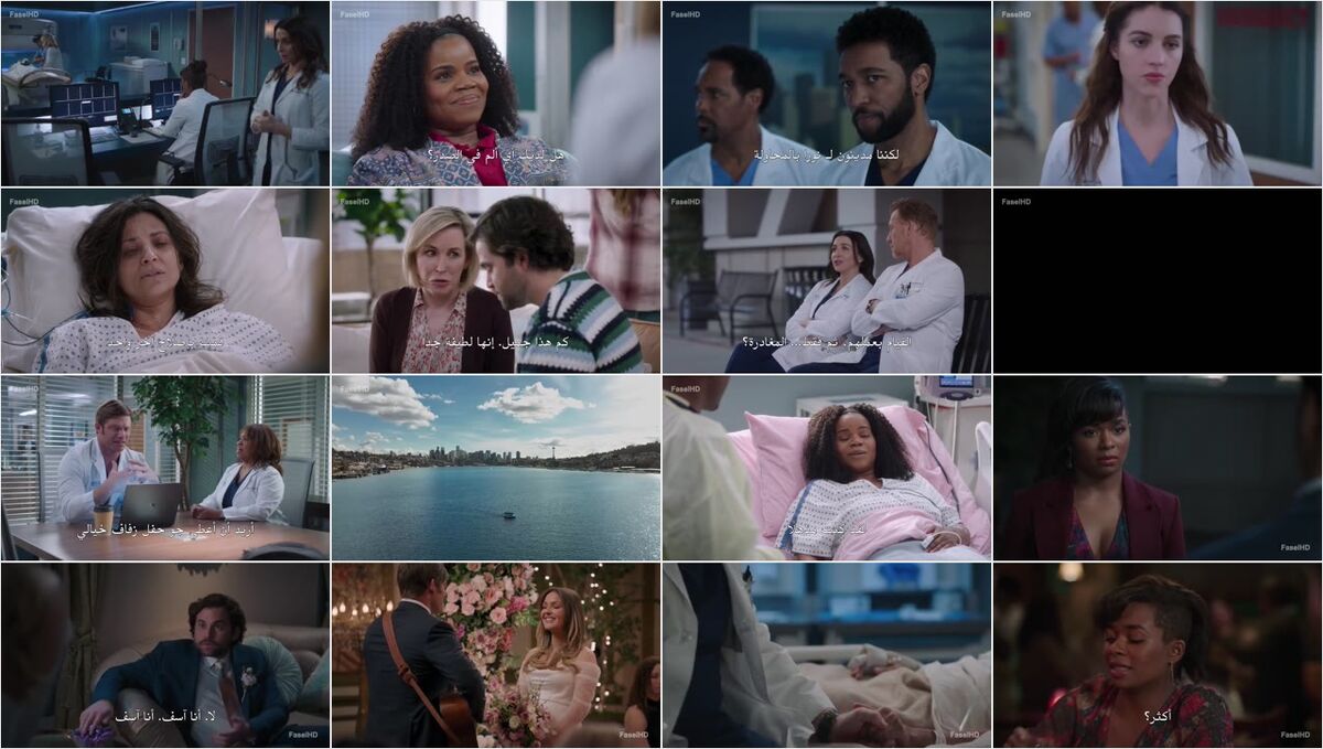 Greys Anatomy S21E17 EgyDead CoM 3