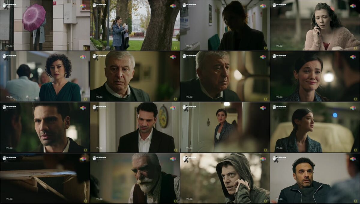 Presuda 029