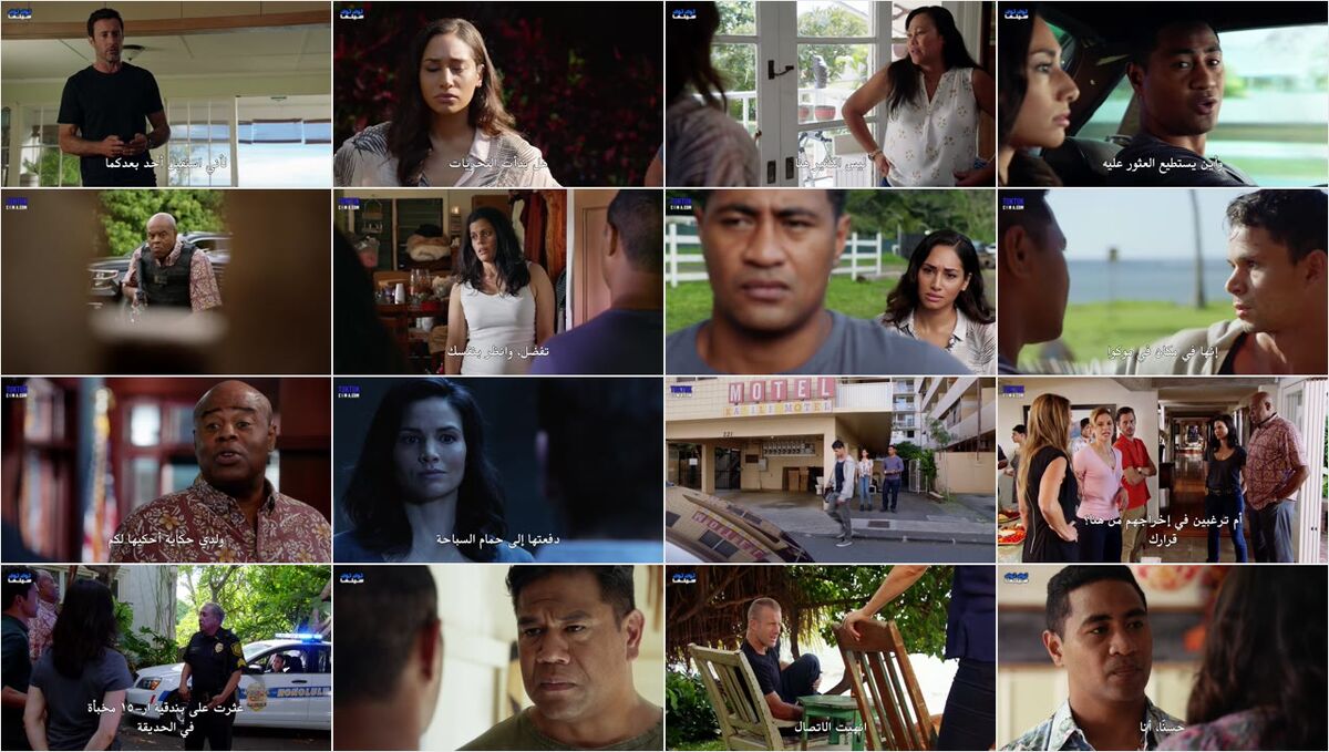Hawaii Five-0 S10E09 CiNEMATY [source]