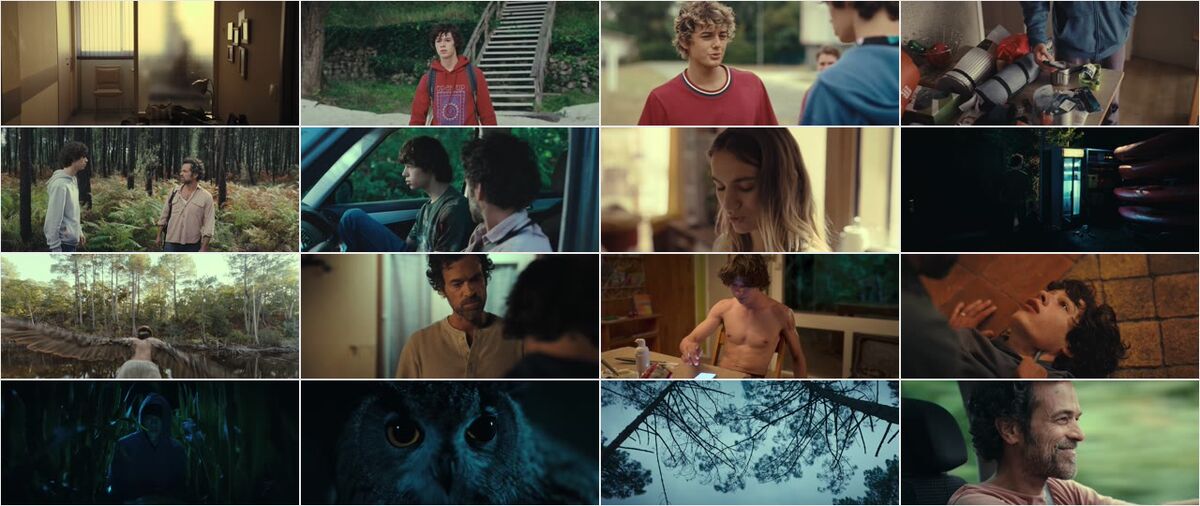 The Animal Kingdom 2023 PL 720p
