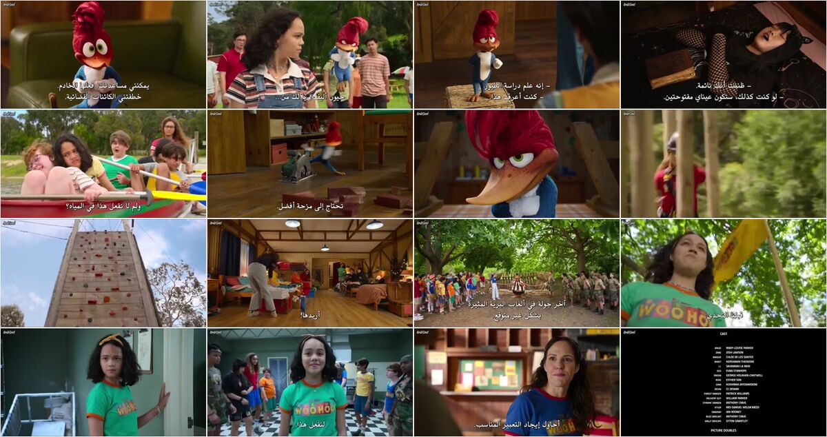 Woody Woodpecker Goes to Camp 2024 [360p]
