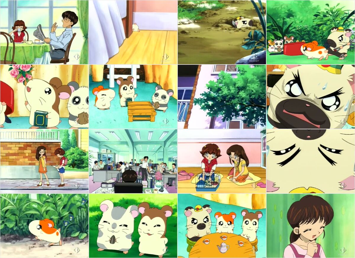 Hamtaro - 003 - Tutti a raccolta