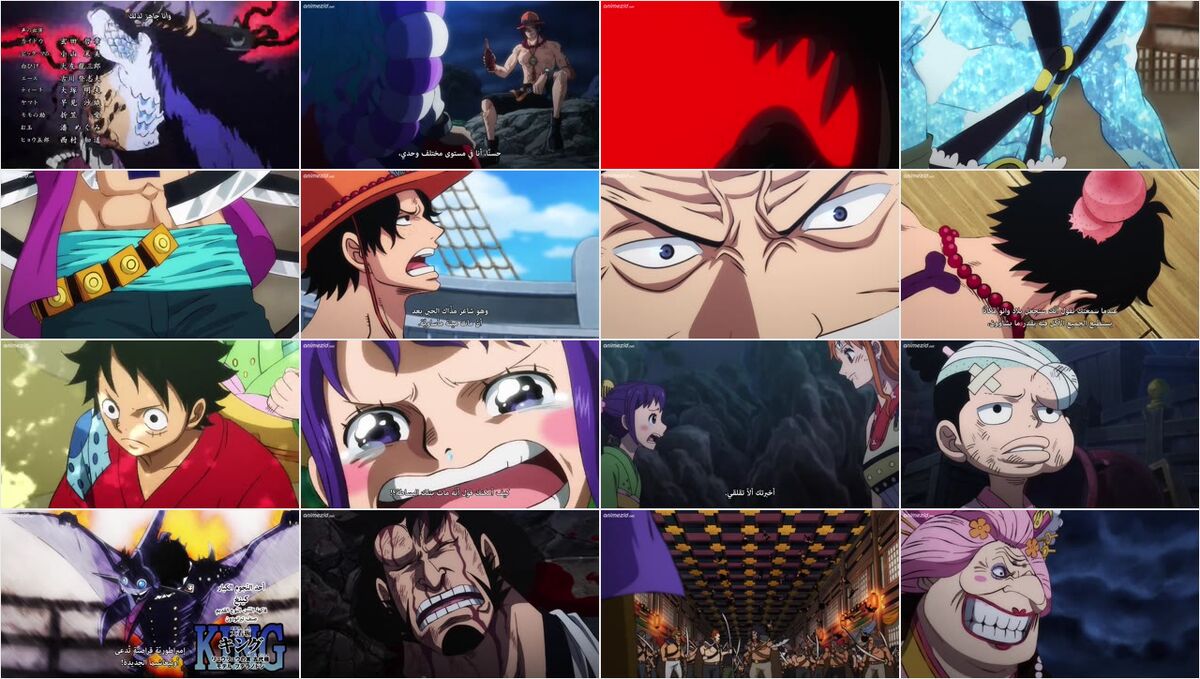  One Piece - 1014  [480p]