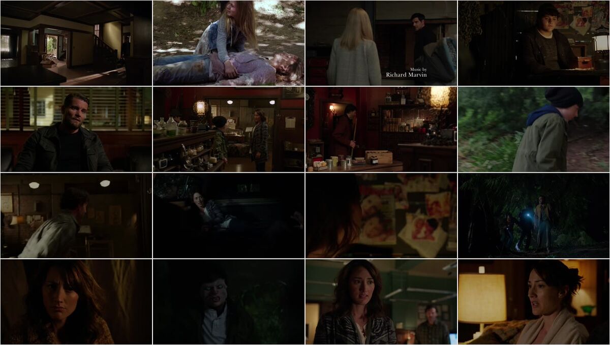 Grimm 5x3