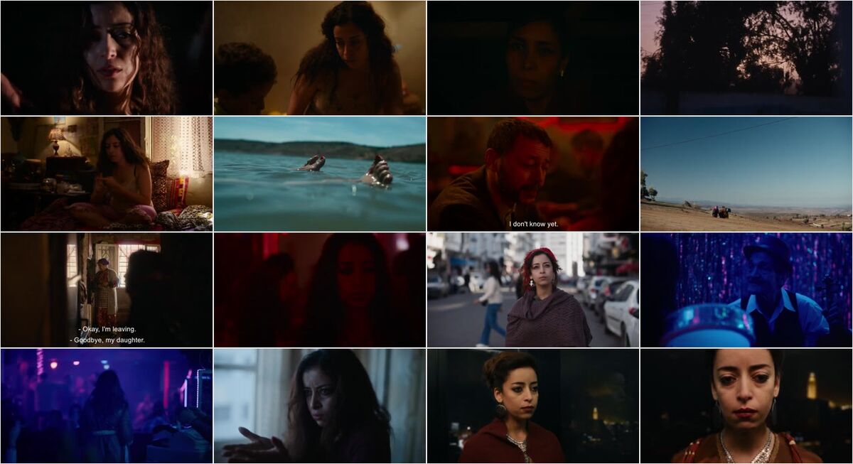 Everybody Loves Touda 2024 720p WEBRip AAC-[YTS MX]