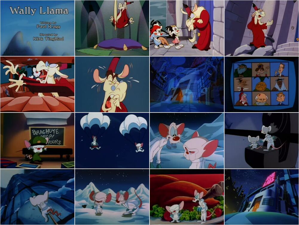 Animaniacs - 1x09 - Ita