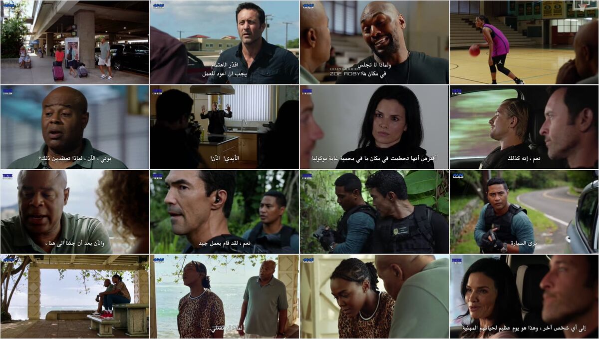 Hawaii Five-0 S10E08 CiNEMATY [source]