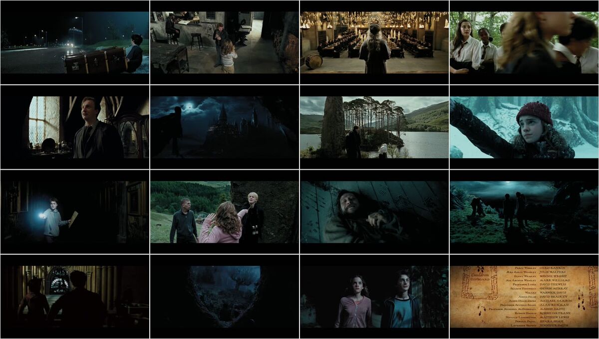 Harry Potter and the Prisoner of Azkaban 2004 5 1 BRRIP