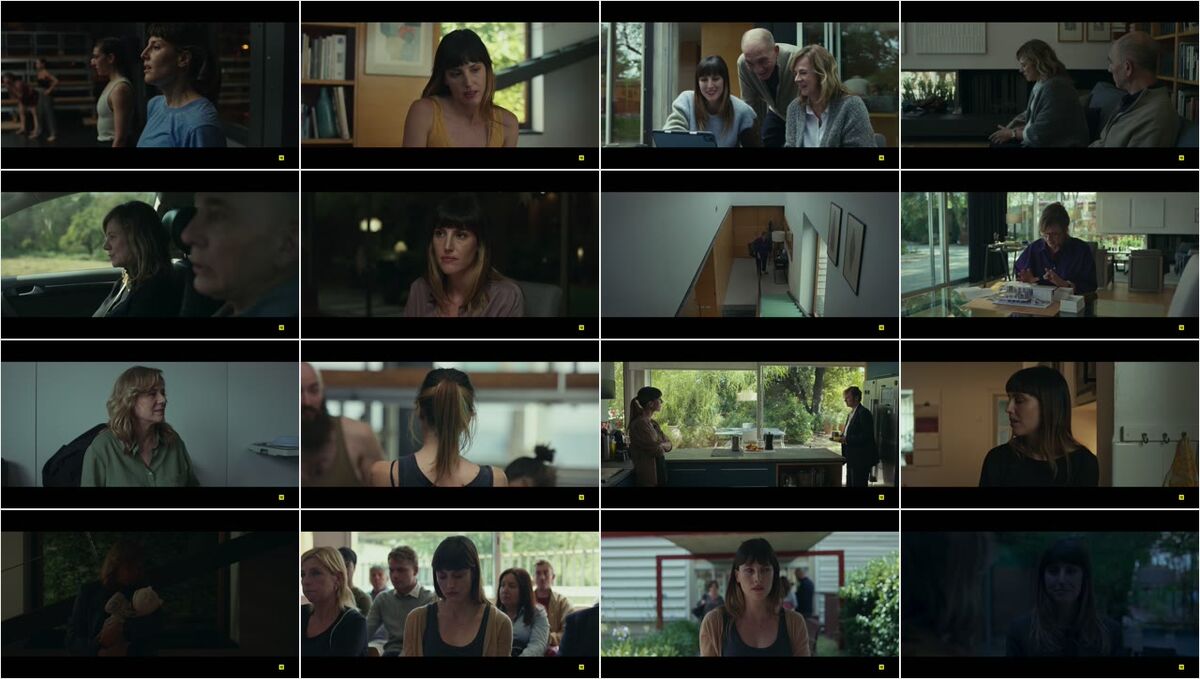 8521326012820721896 Desmontando un elefante 2024 Cast - CINEMEGA