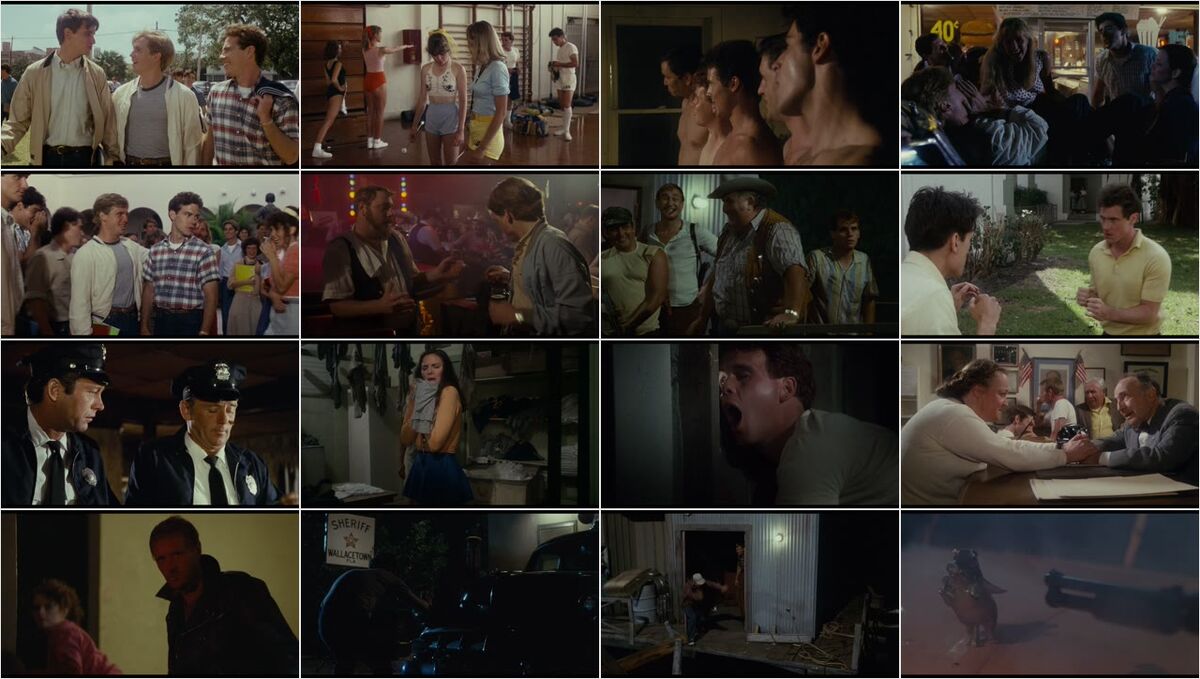 2149529381209326351 Porky's (1981) [Full 1080p] BRRip [Latino-In