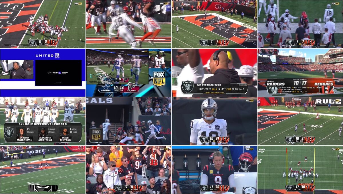 Las Vegas Raiders at Cincinnati Bengals 03 11 2024 low