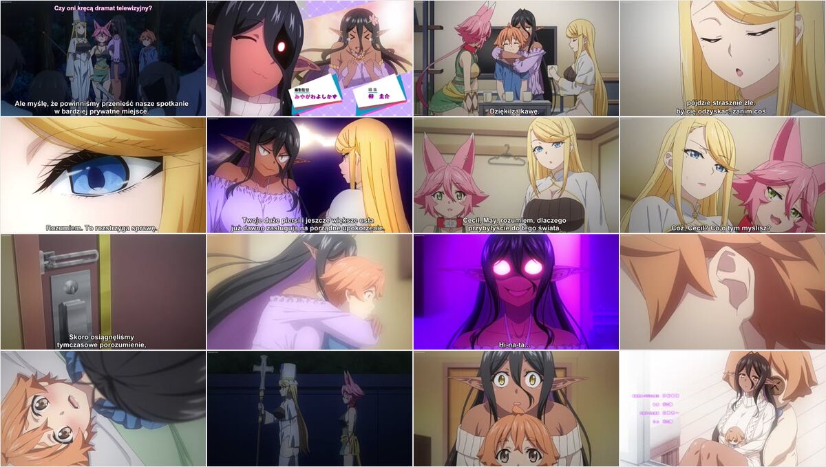 Chotto dake Ai ga Omoi Dark Elf 04 ai