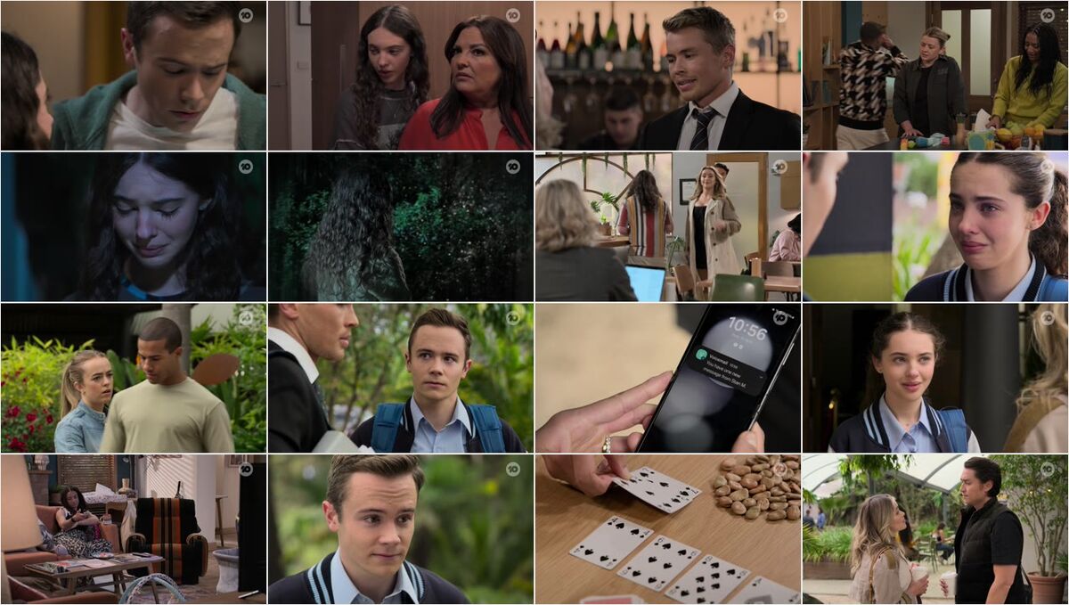 Neighbours Ep 9226 (16 Apr 2025) [540p WEB-DL] [AU]