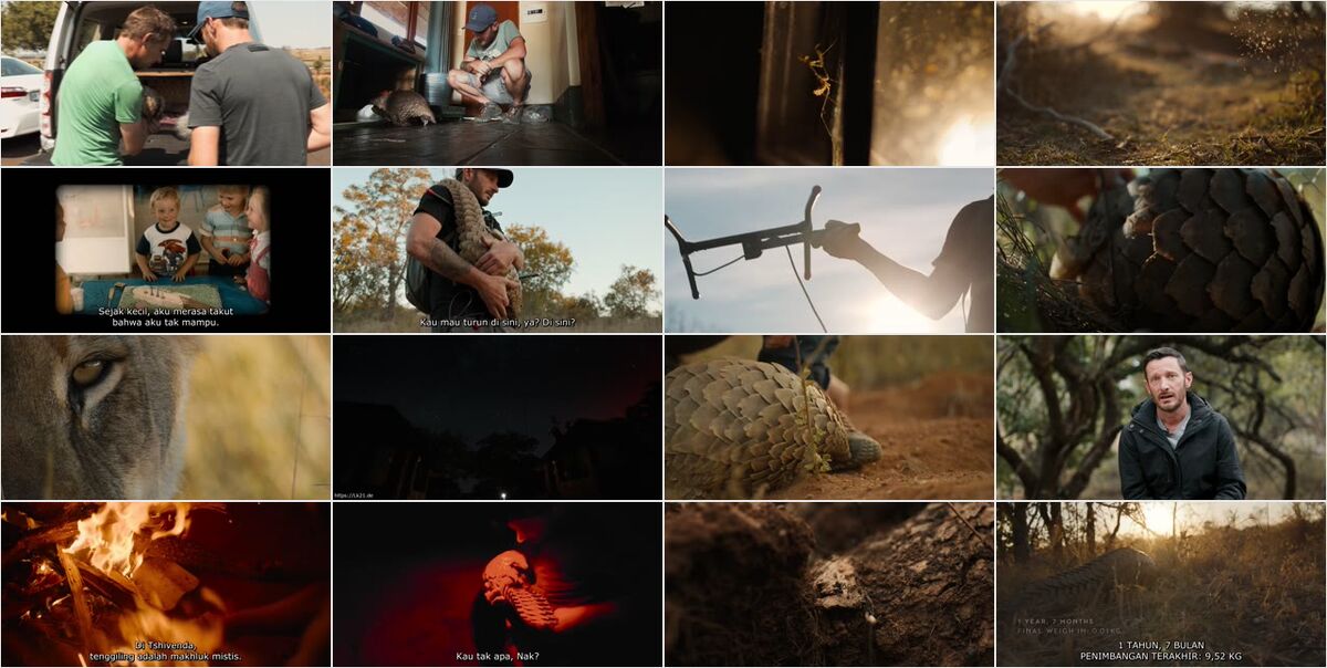 's Journey (2025)-1080p