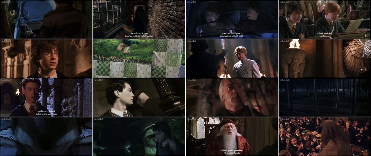 Harry Potter 2 And The Chamber of Secrets 2002 EXTENDED 1080p Bl