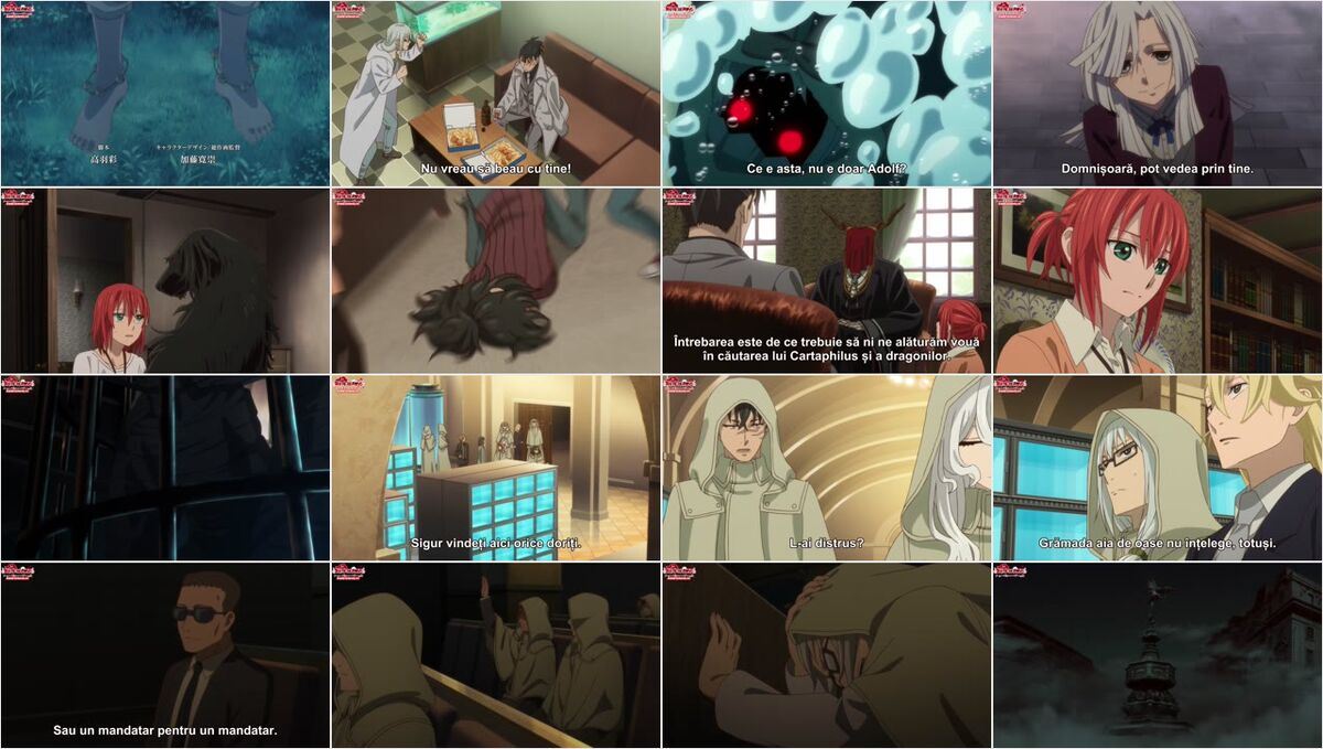 magus bride ep19