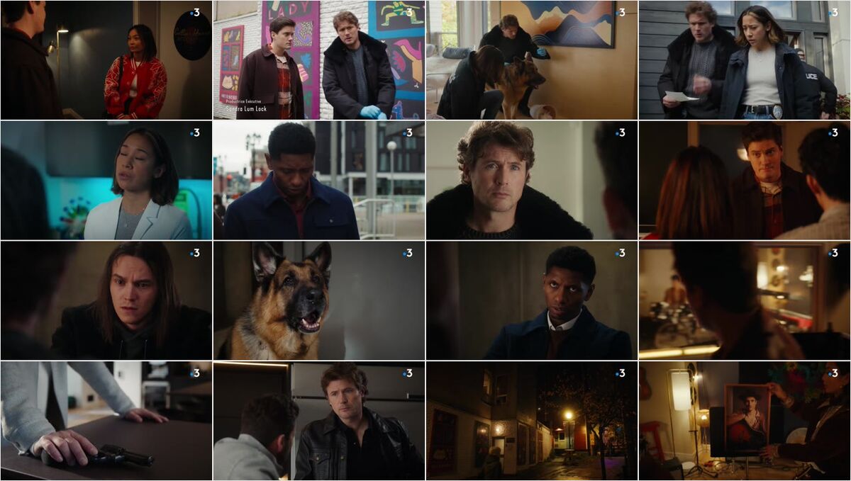 Série Hudson And Rex saison 6 épisode 16 VF
