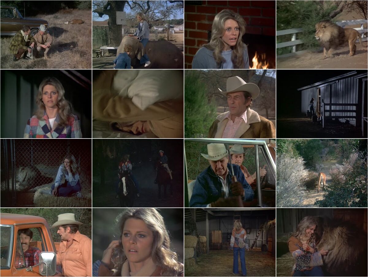 La donna bionica - 1x05 - Un leone non troppo feroce