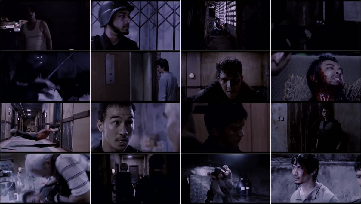 Raid - Serbuan maut (2011)