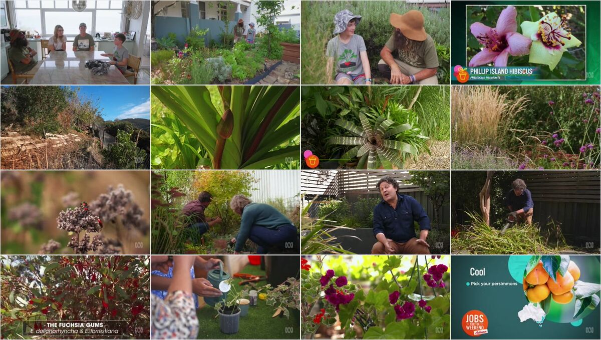 Gardening Australia S36E11 720p WEB-DL H264-7VFr33104D