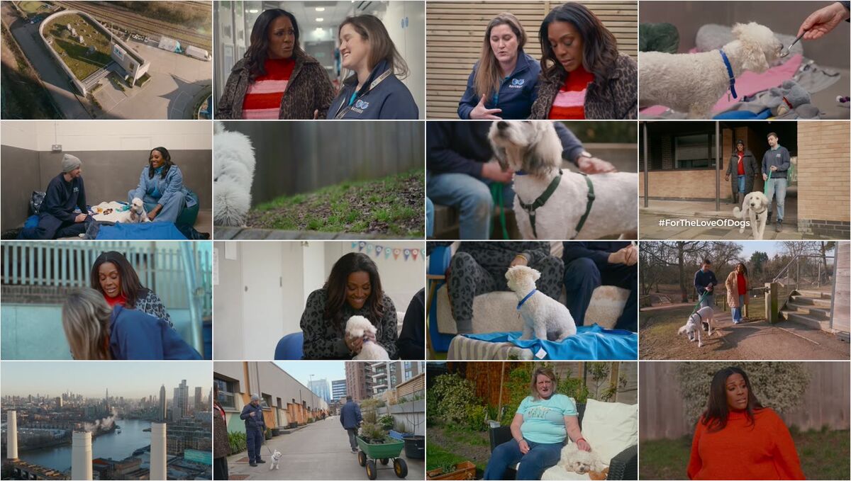 For the Love of Dogs S13E06 (May 06 2025)[576p mp4]