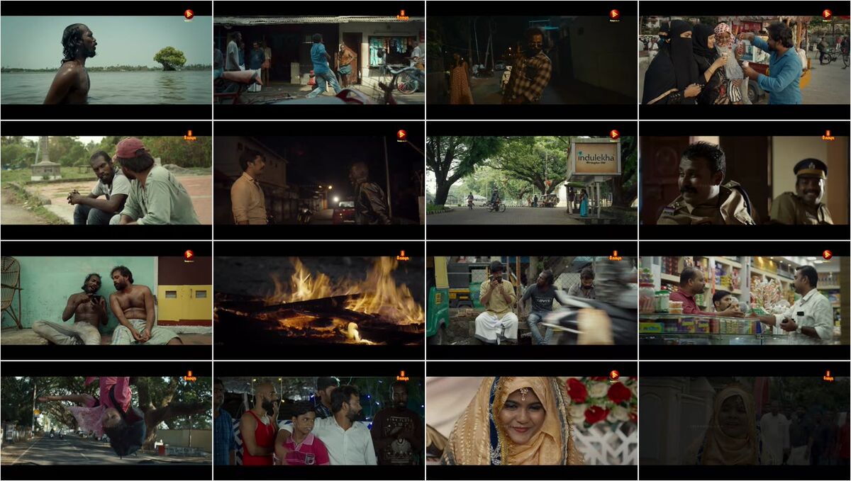 www 1TamilMV re - Jameelante Poovan Kozhi (2024) Malayalam HQ HD