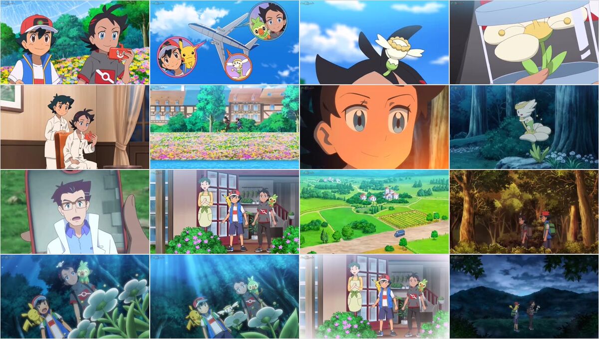 ポケットモンスター - S24E18 - ¡La noche revela su colo