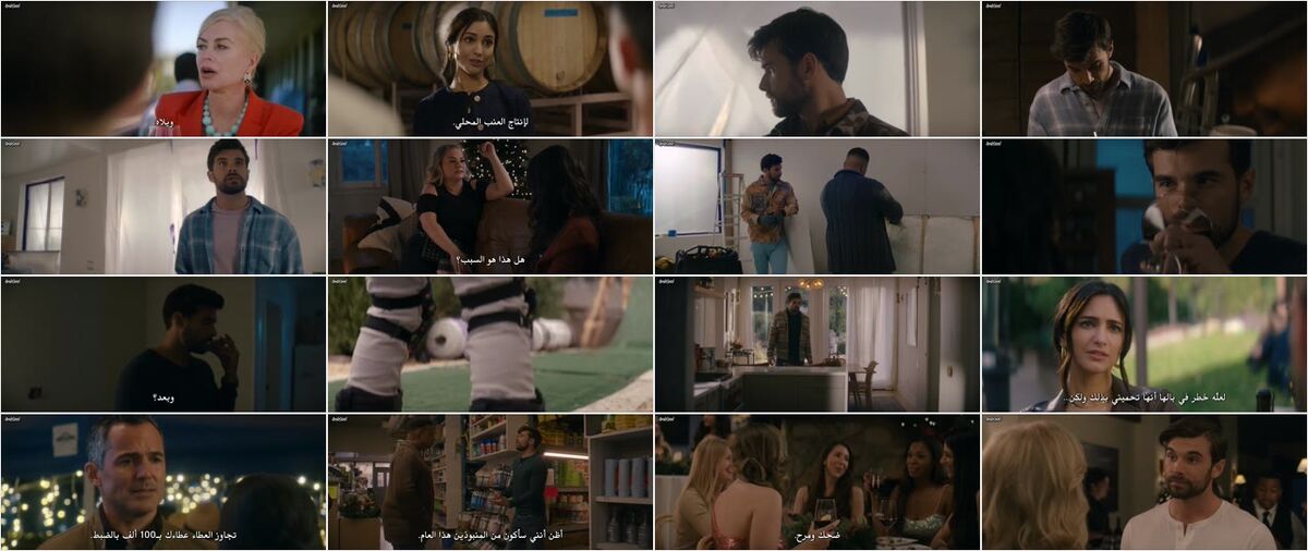 film Holiday in the Vineyards [536p (source)]