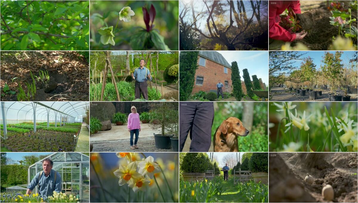 Gardeners World S58E06 720p IP WEBDL AAC2 0 H 264TBN