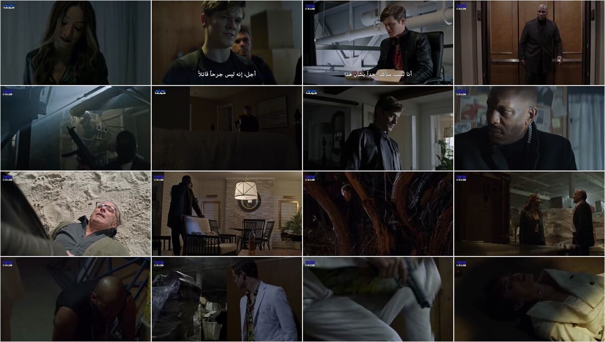  The Collective 2023 1080p BluRay [360p]