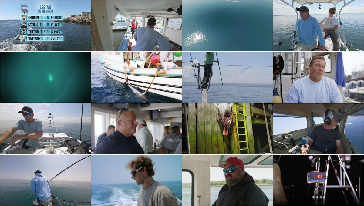 Harpoon Hunters 1x4