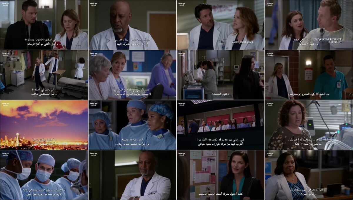 Greys Anatomy S13E07 CiNEMATY [source]