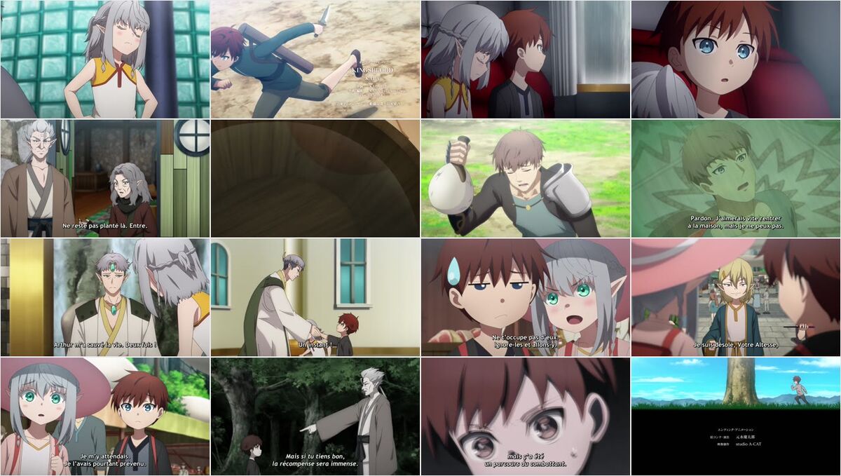 The Beginning After the End - 06 VOSTFR HD
