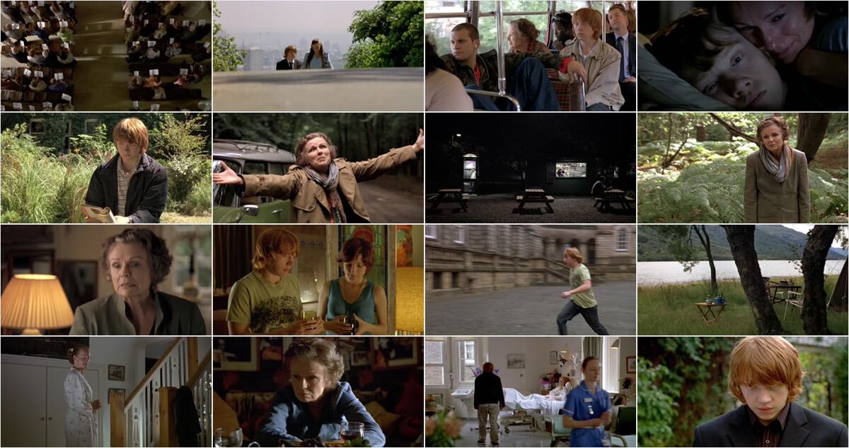 Leçons de conduite 2008 FRENCH DVDRip AVC AAC
