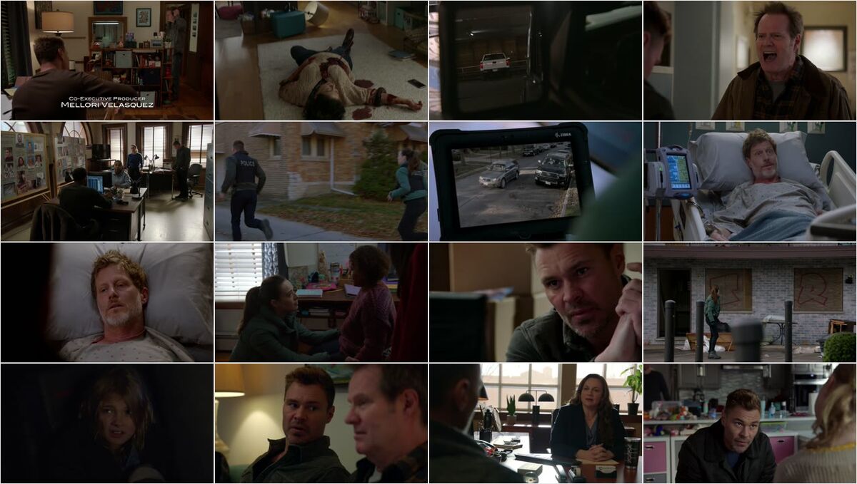 Chicago P D S12E14