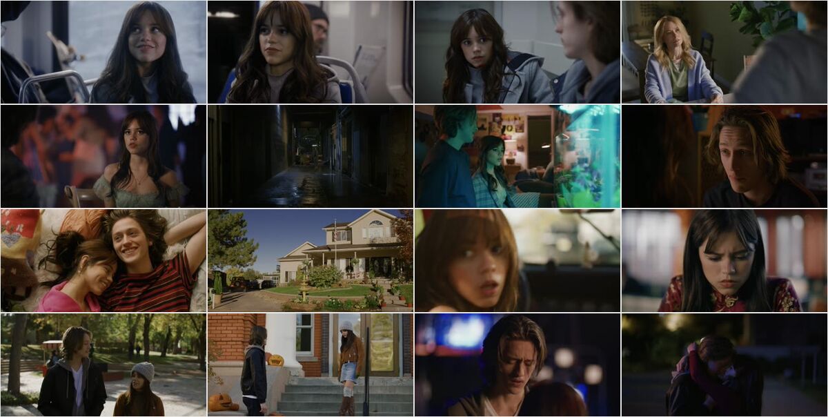 As Quatro EstaÃ§Ãµes do Amor PLayflixHD