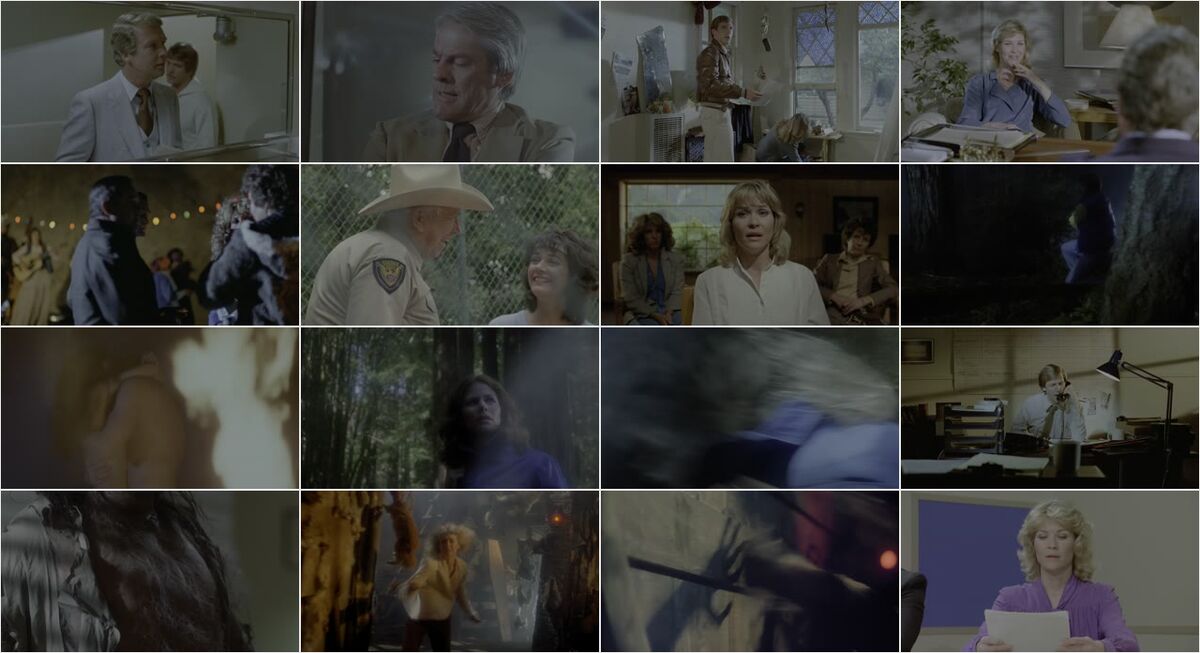The Howling (1981) - drstream.co - MULTi VFI 2160p 10bit