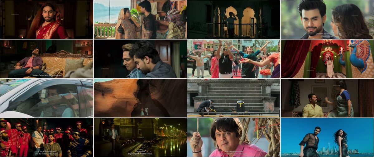 Pintu Ki Pappi (2025) WEBRip 1080p Hindi + Telugu AVC HE-AAC 2 0