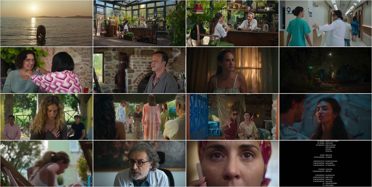 Le Chemin de l'olivier - Saison 2 Épisode 4