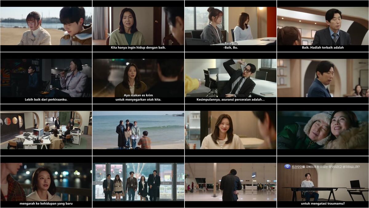The Divorce Insurance Episode 12