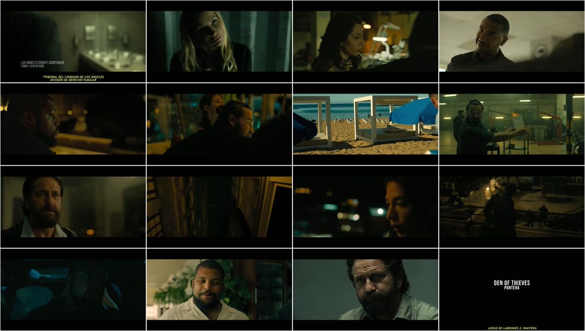 Juego de Ladrones- Pantera (2025) 1080