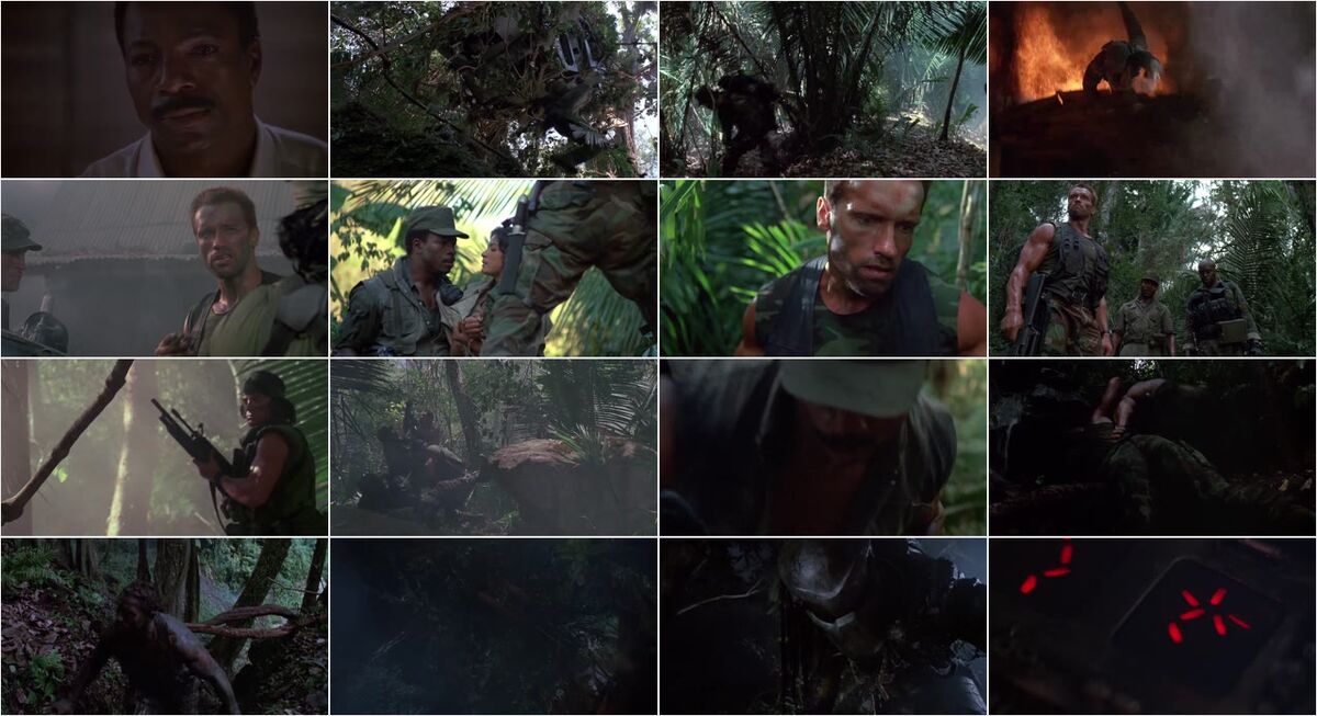 predator 1987 esp 1080p