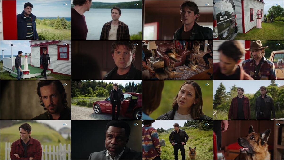 Série Hudson And Rex saison 6 épisode 6 VF