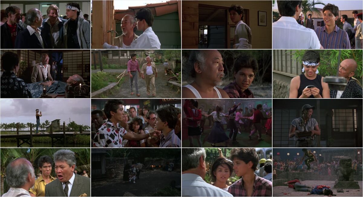 Karate Kid II 19861080