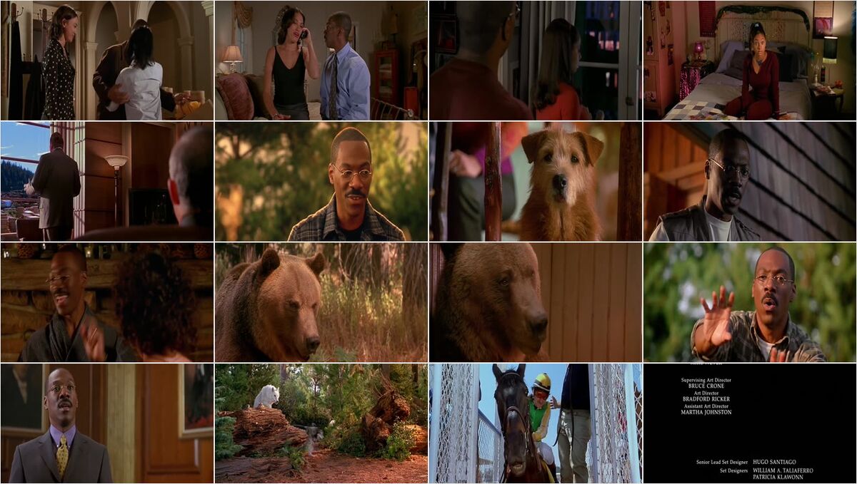 Dr  Dolittle 2 (2001) Multi Vf2