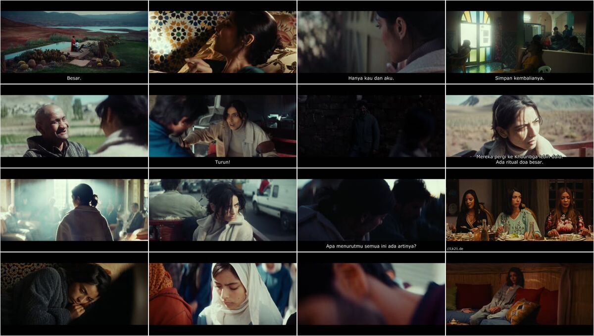 D21 FUN-Animalia (2023)-1080p