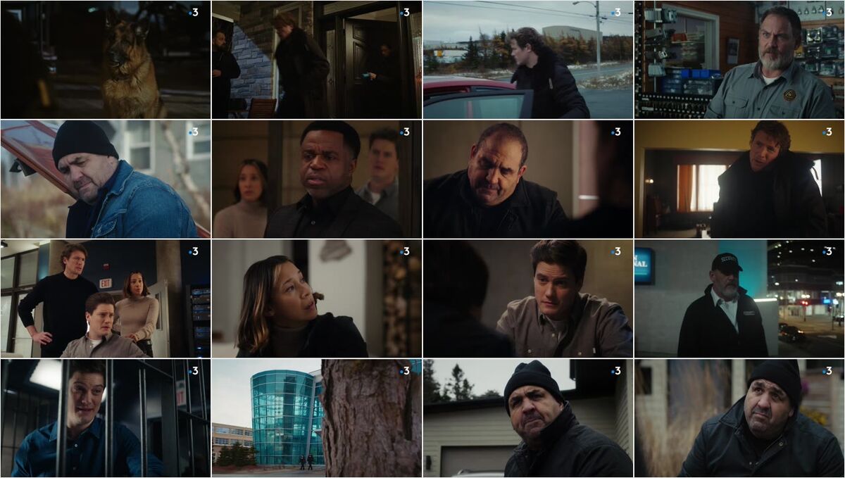 Série Hudson And Rex saison 6 épisode 14 VF
